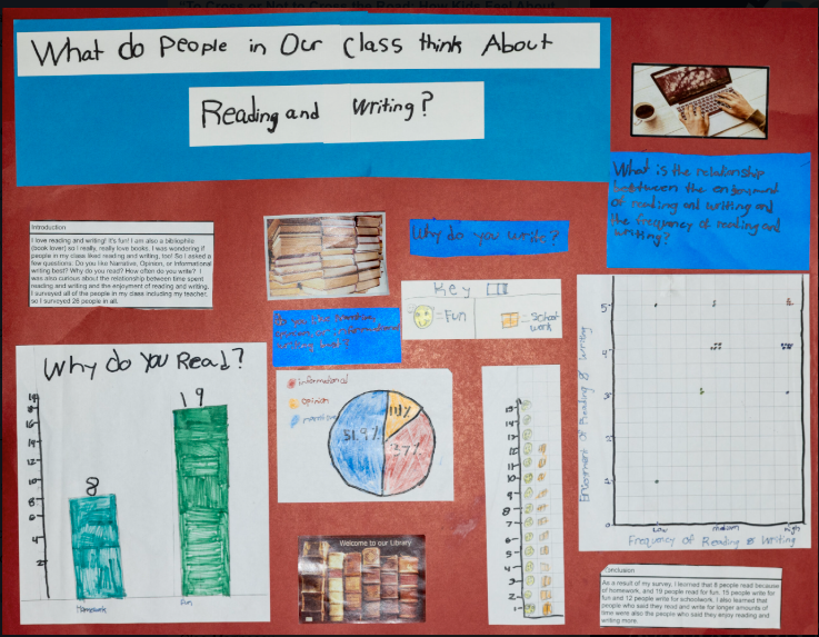 Data Visualization Poster & Statistics Project Competition Winners